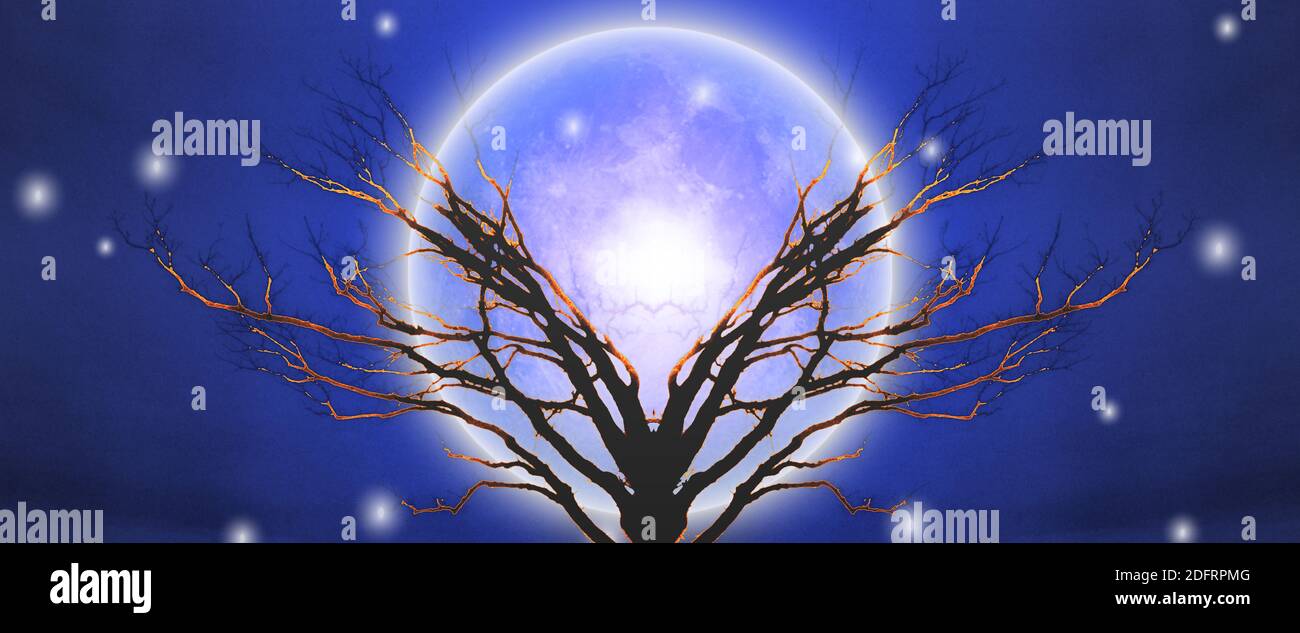 Mystic tree in moonlight. 3D rendering Stock Photo - Alamy