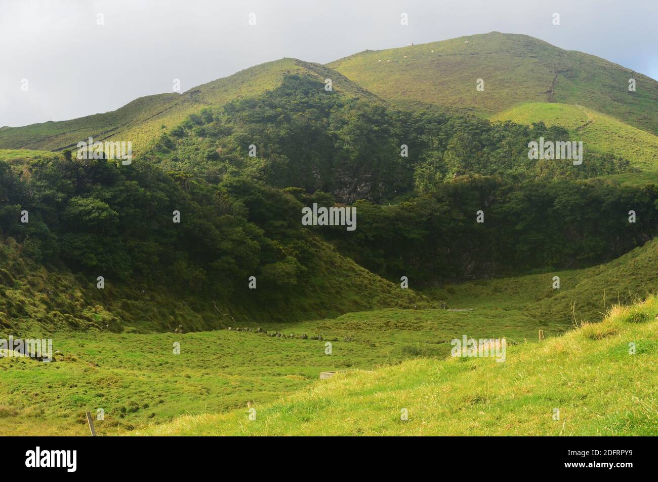 The high volcanic plateau of Pico island, Azores archipelago, Portugal ...