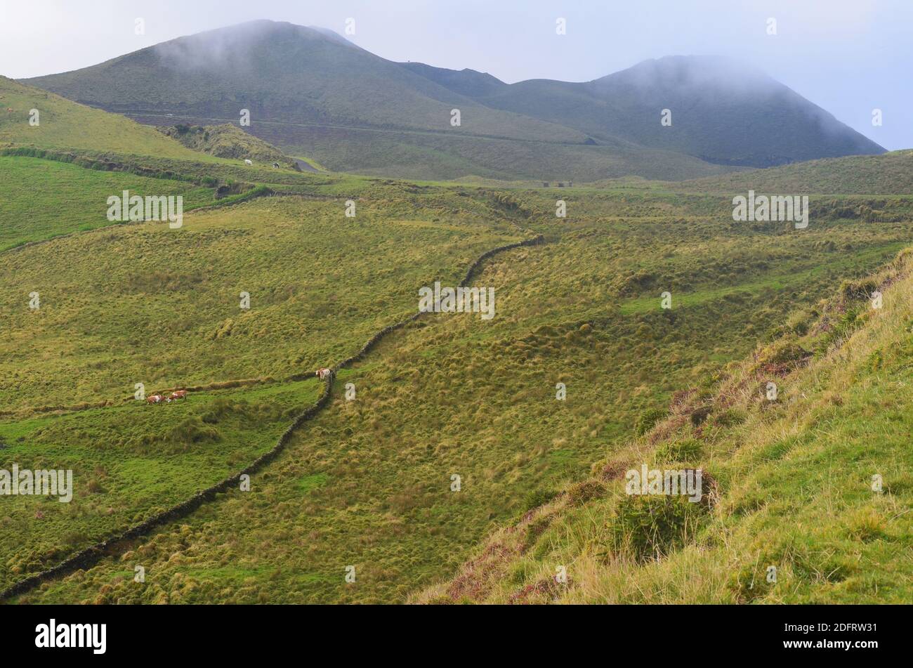 The high volcanic plateau of Pico island, Azores archipelago, Portugal ...