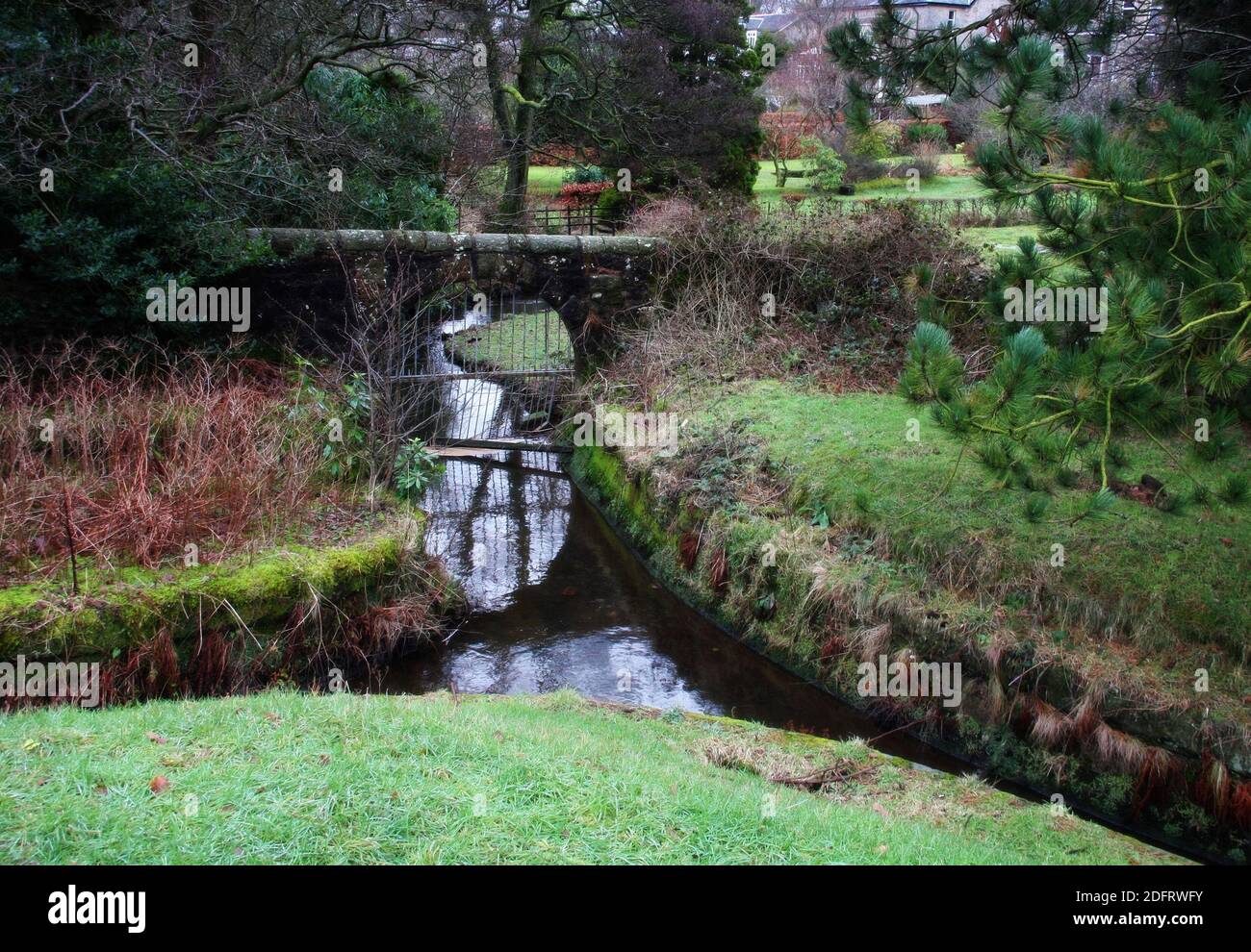 Junction of two small streams in rural Scotland Stock Photo - Alamy