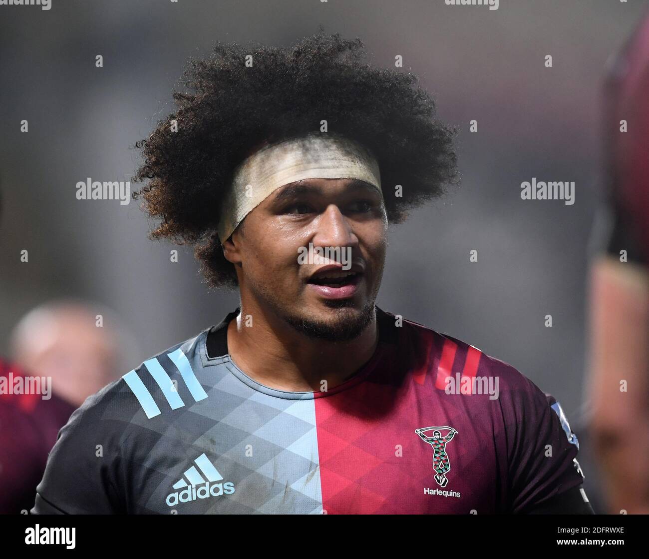 Harlequins elia elia hi-res stock photography and images - Alamy