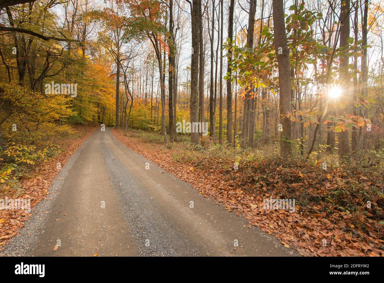 Scenic country road winds along Bull Run Mountain in the Virginia ...