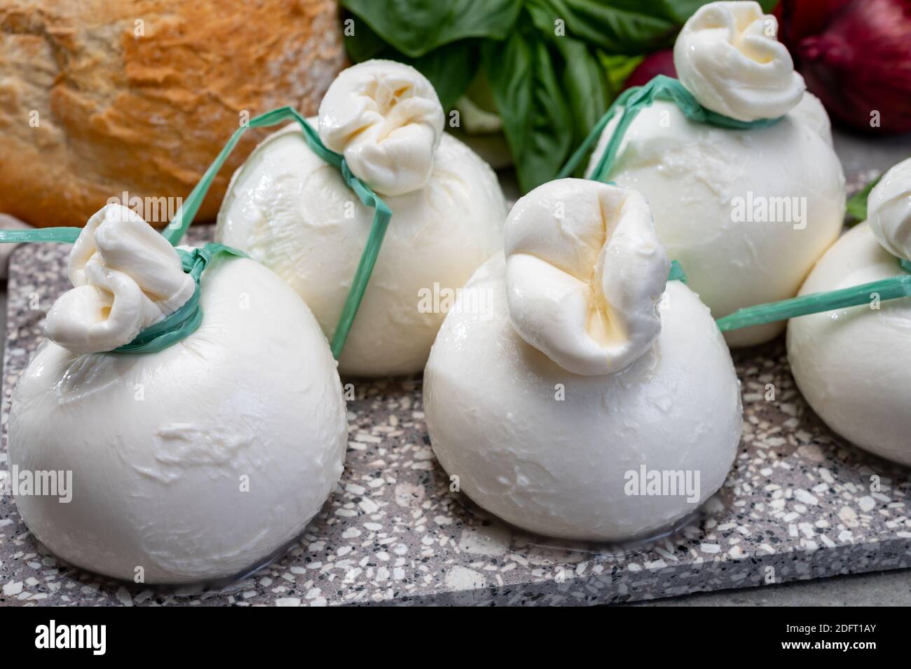 Cheese collection, fresh soft handmade Italian cheese from Puglia ...