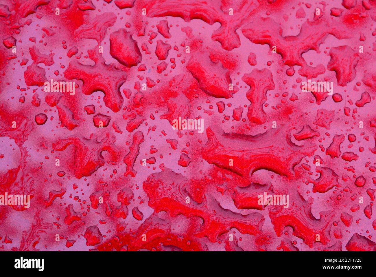 Water drops on red car surface, ful frame of abstract red liquid ...