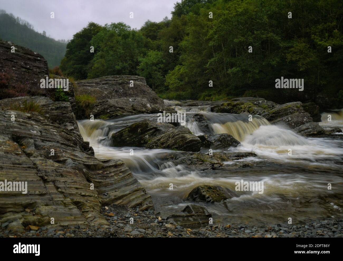 Afon rheidol hi-res stock photography and images - Alamy