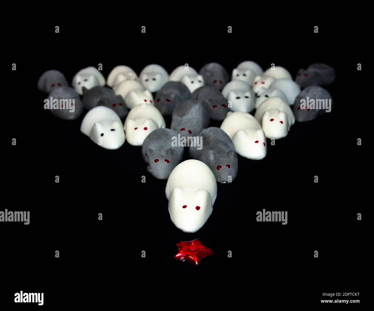 Front view of a formation of white mice with red eyes from marshmallow ...