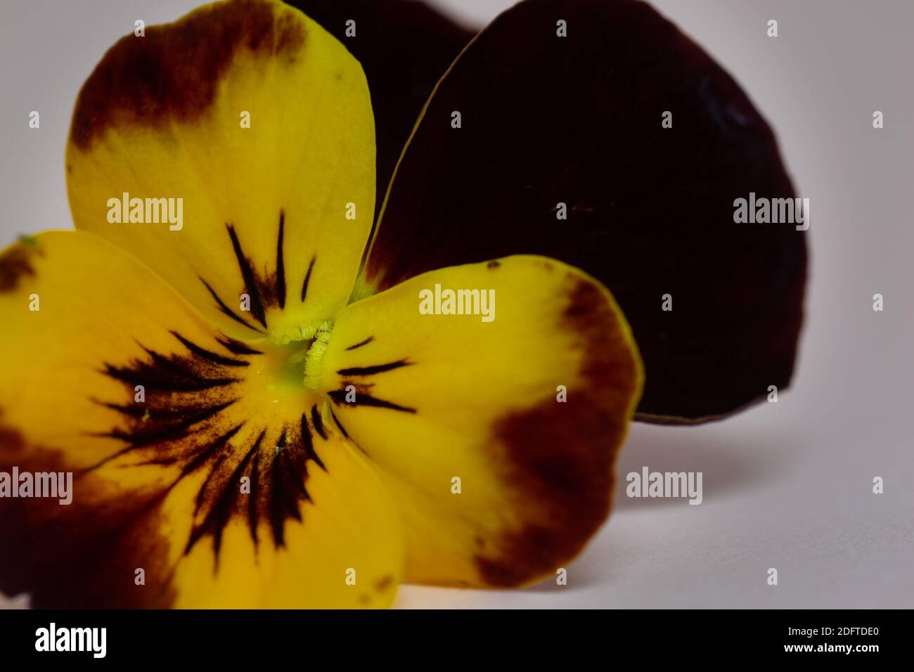 Cool wave hi-res stock photography and images - Alamy