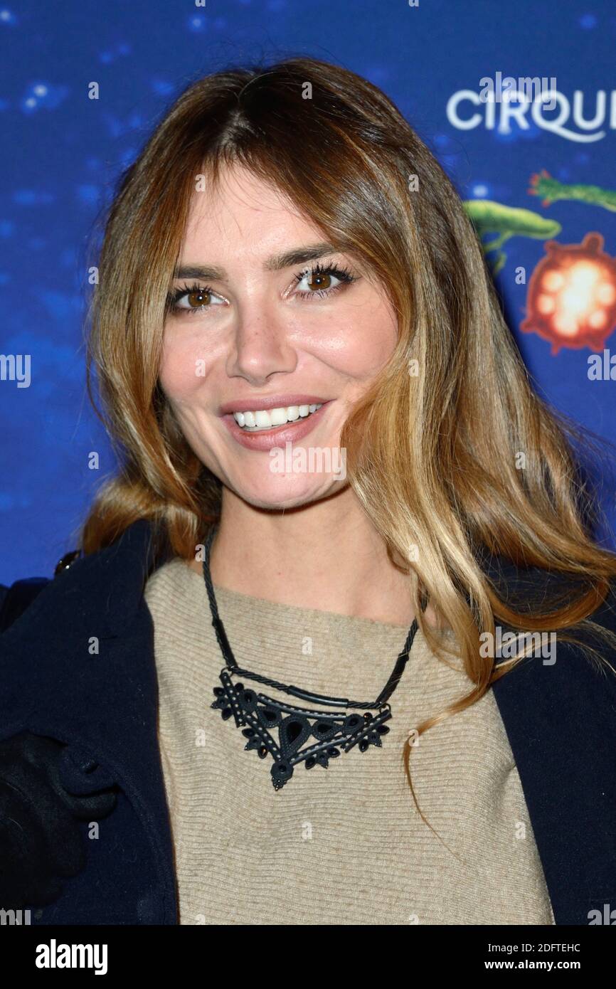 Andy Rowski assiste a la Premiere VIP de Totem du Cirque du Soleil a ...