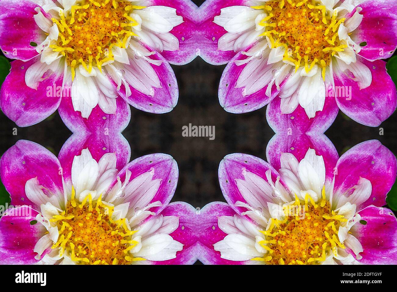 Kaleidoscope effect from flowers Stock Photo - Alamy