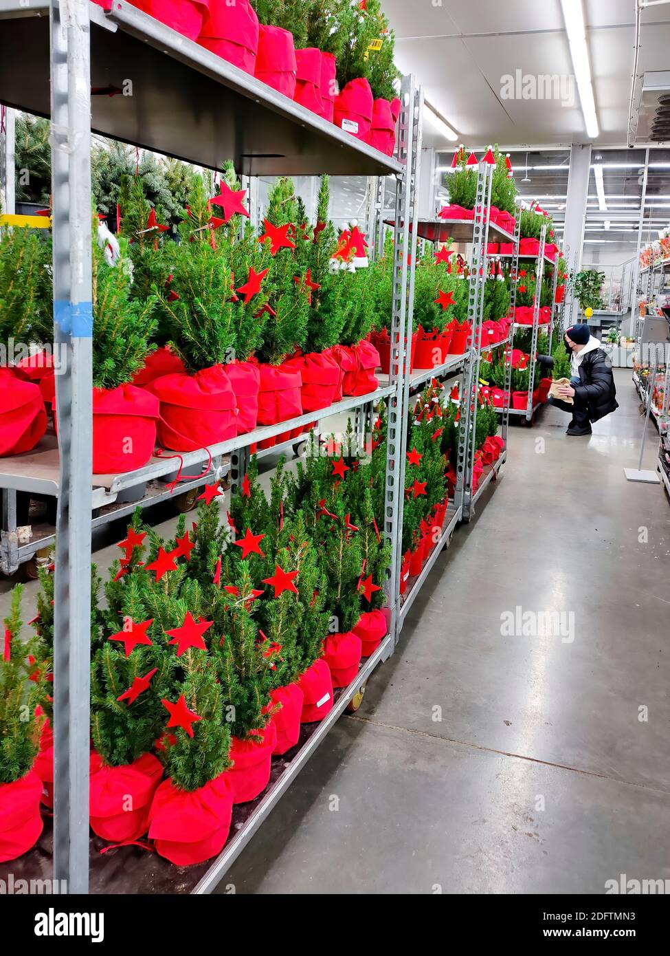 Plenty of Christmas tree selling in the retail store Stock Photo - Alamy
