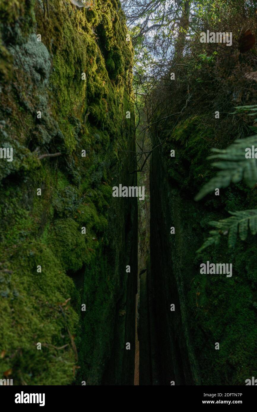 Divide sky forest stone hi-res stock photography and images - Alamy