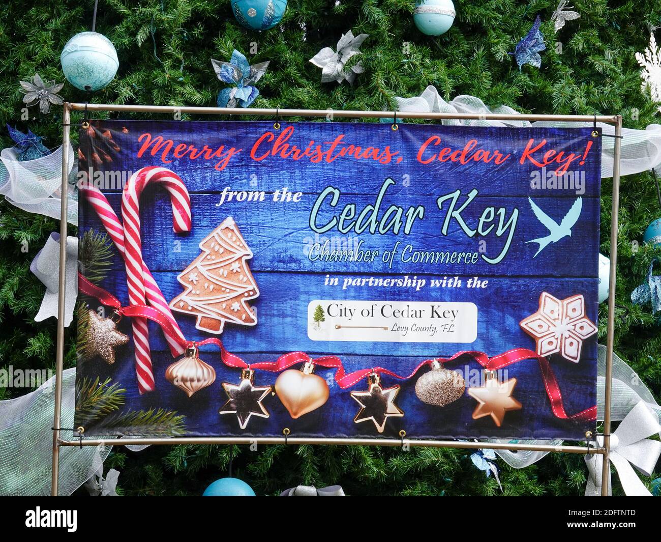Sign in front of the community Christmas tree in the city park. Cedar ...
