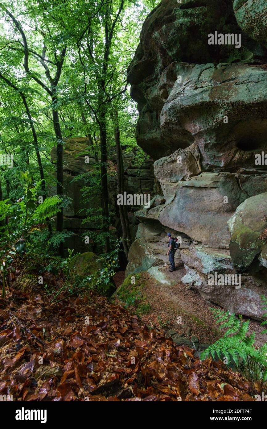 Mullerthal rock formation in green forest with small person at spring ...