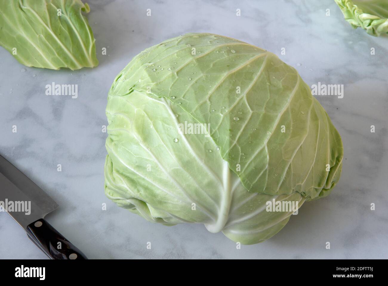 Cabbage light hi-res stock photography and images - Alamy