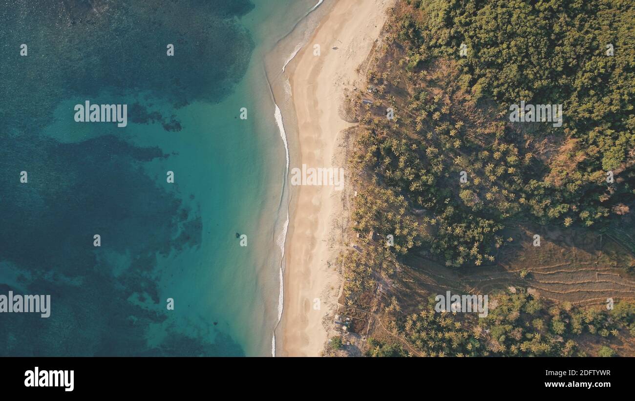 Seashore Plants High Resolution Stock Photography and Images - Alamy