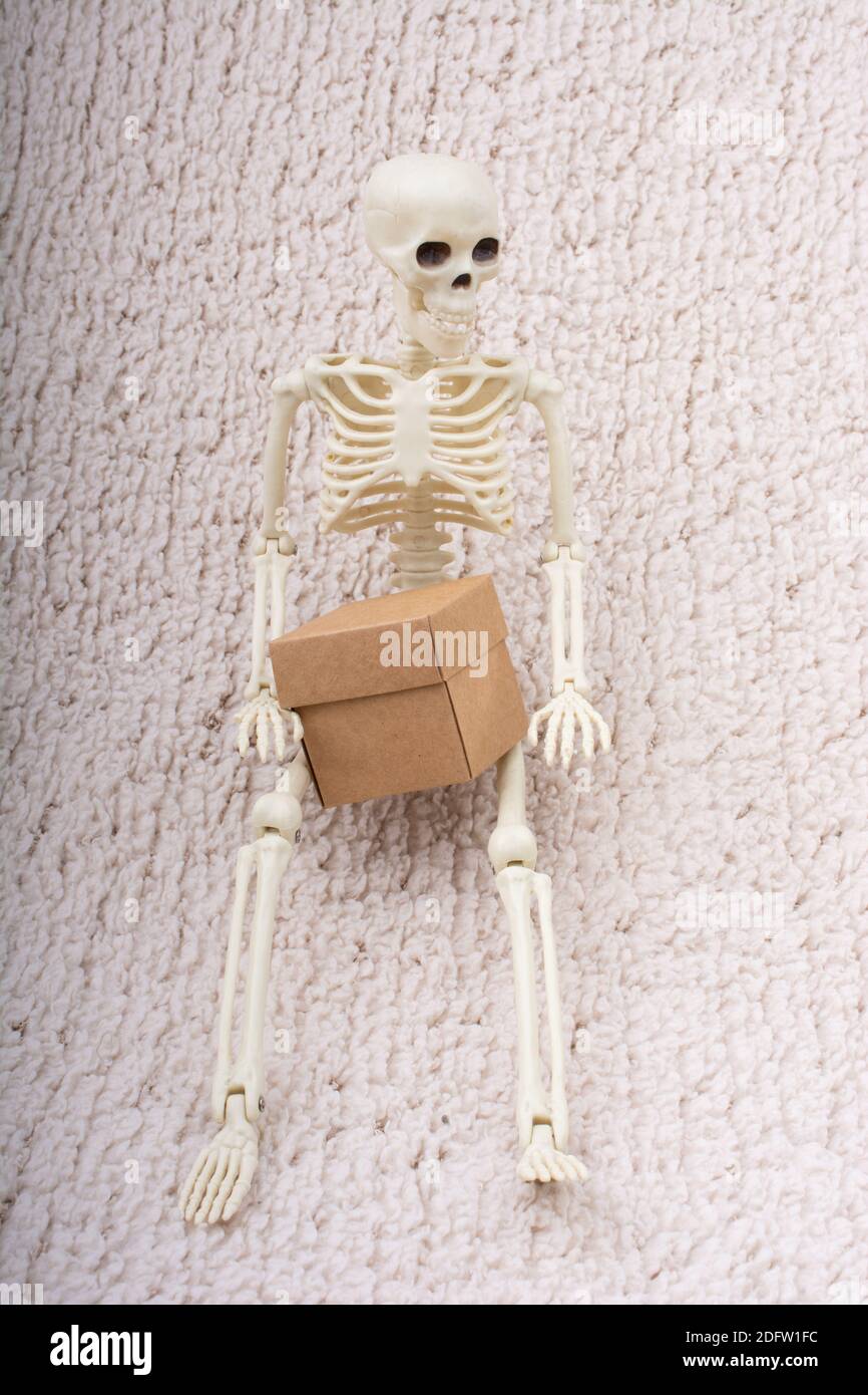 Human skeleton model for medical anatomy science with cardboard box ...
