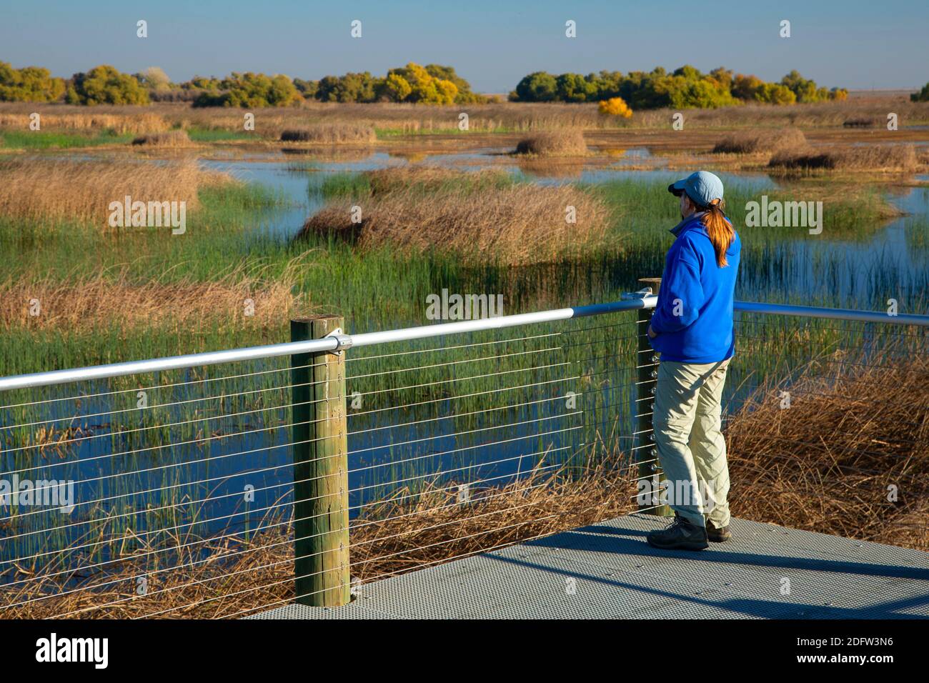 Observation platform along Sousa Marsh Nature Trail, San Luis National ...