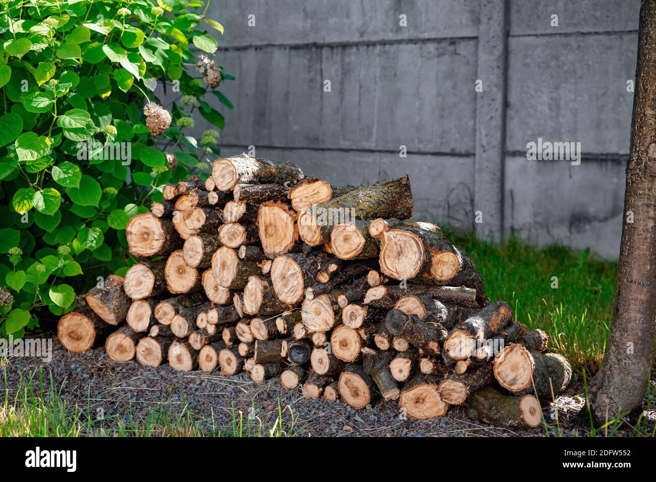 Stack of fire wood prepared for winter outdoors Stock Photo - Alamy