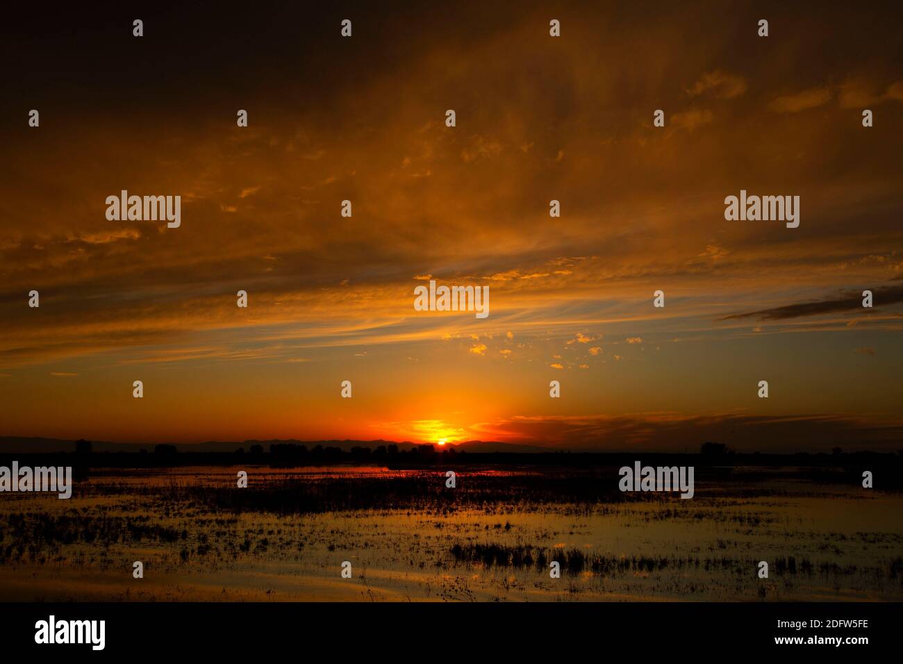 Merced National Wildlife Refuge High Resolution Stock Photography and ...