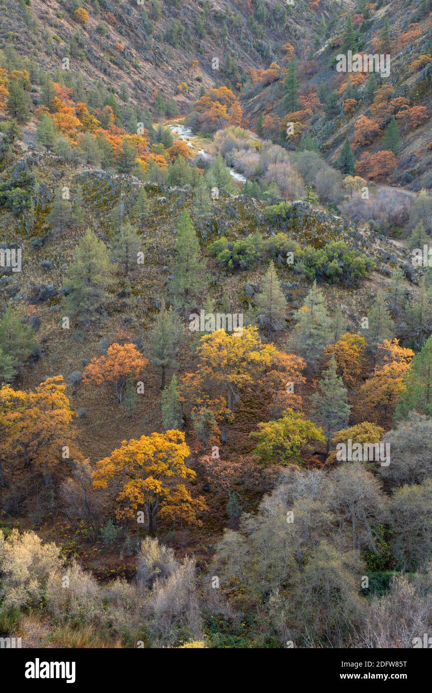 Shasta River in Shasta Canyon, State of Jefferson Scenic Byway ...