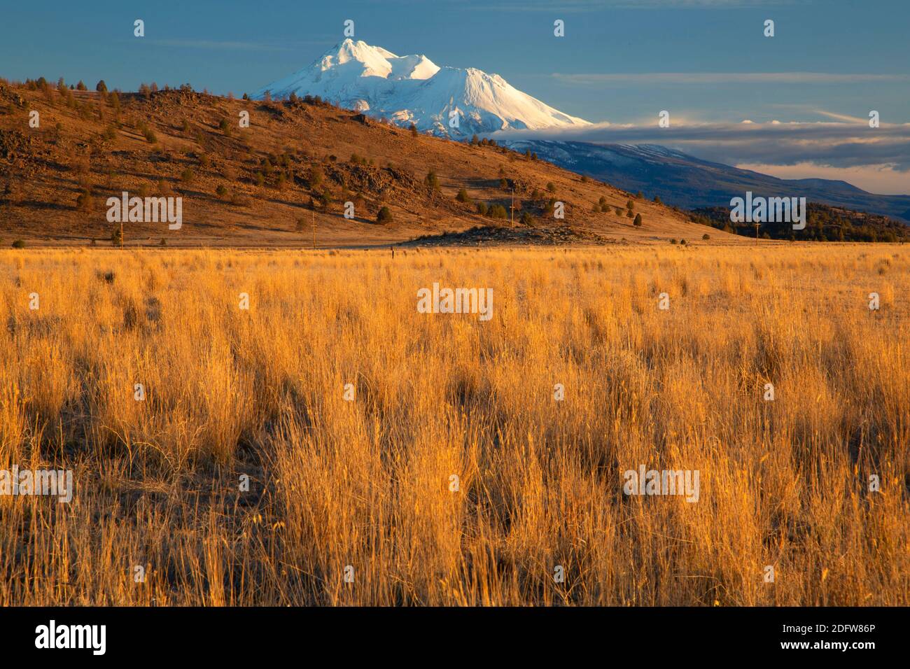 Grassland view hi-res stock photography and images - Alamy