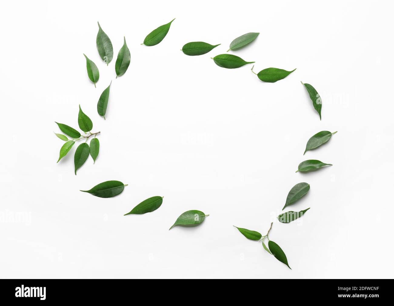 Frame made of green tea leaves on white background Stock Photo - Alamy