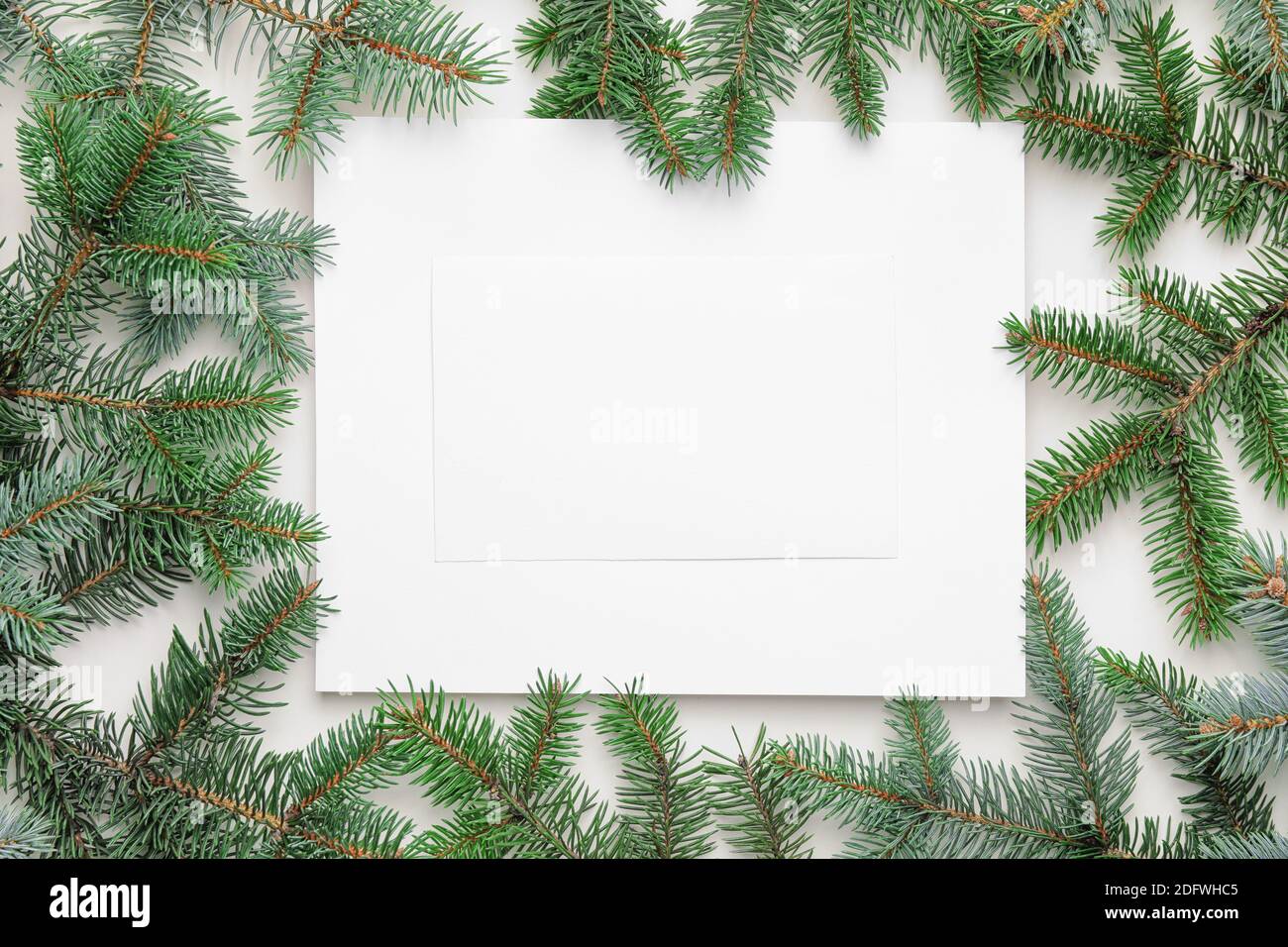 Christmas tree branches with blank card on white background Stock Photo ...