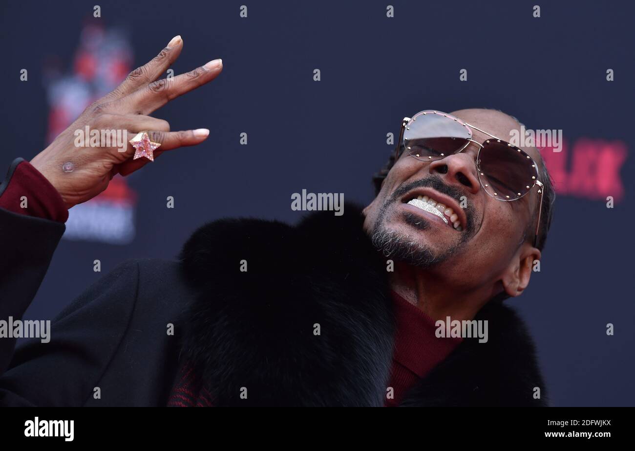 Snoop Dogg attends the hand and footprint ceremony honoring record ...