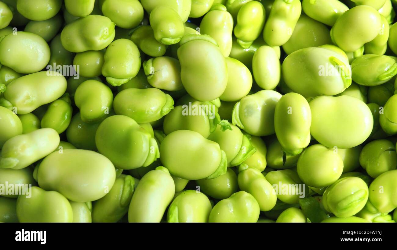 Harvested broad beans or fava beans (Vicia faba Stock Photo - Alamy