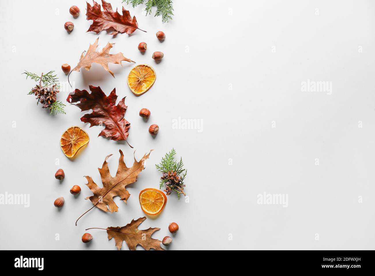 Beautiful autumn composition with leaves on white background Stock ...