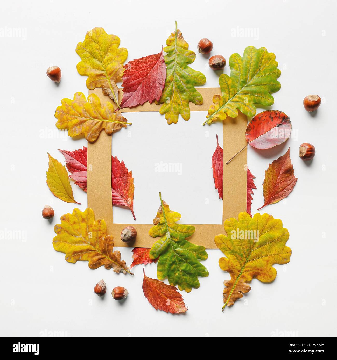 Beautiful autumn composition with leaves and blank frame on white ...
