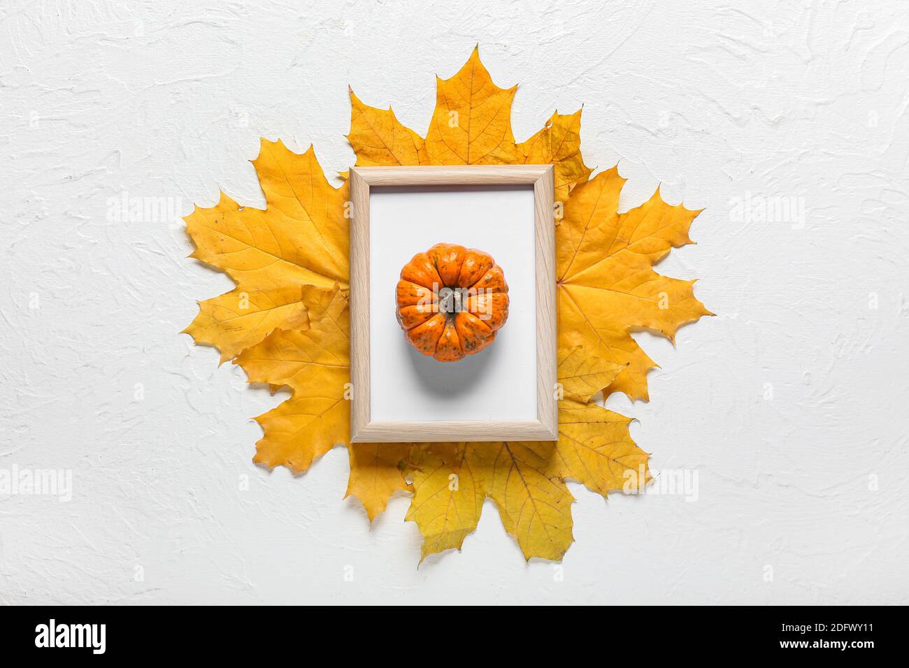 Beautiful autumn composition on white background Stock Photo - Alamy