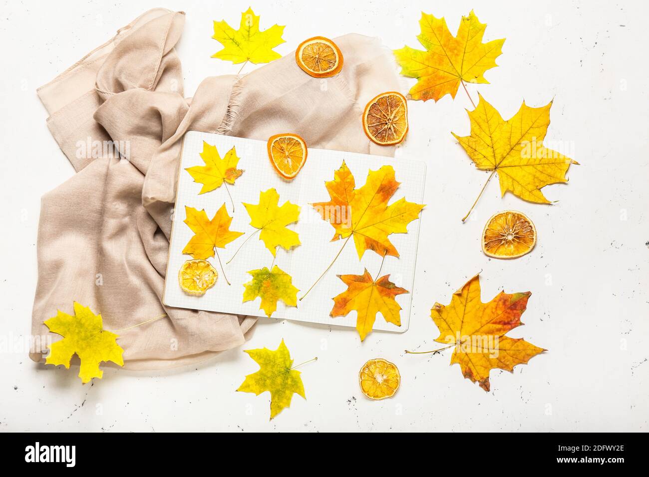 Beautiful autumn composition with notebook on white background Stock ...