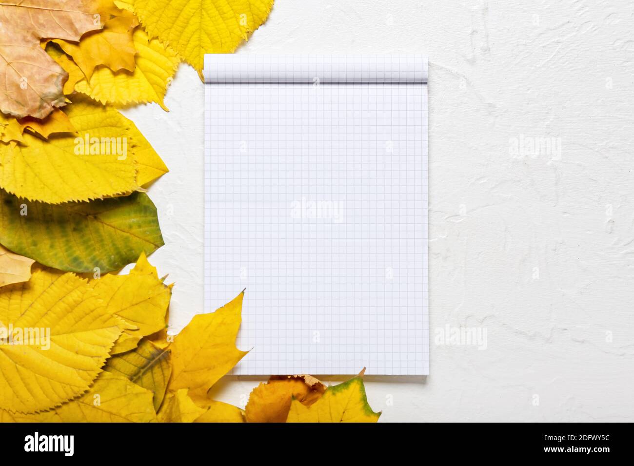 Beautiful autumn leaves with notebook on white background Stock Photo ...