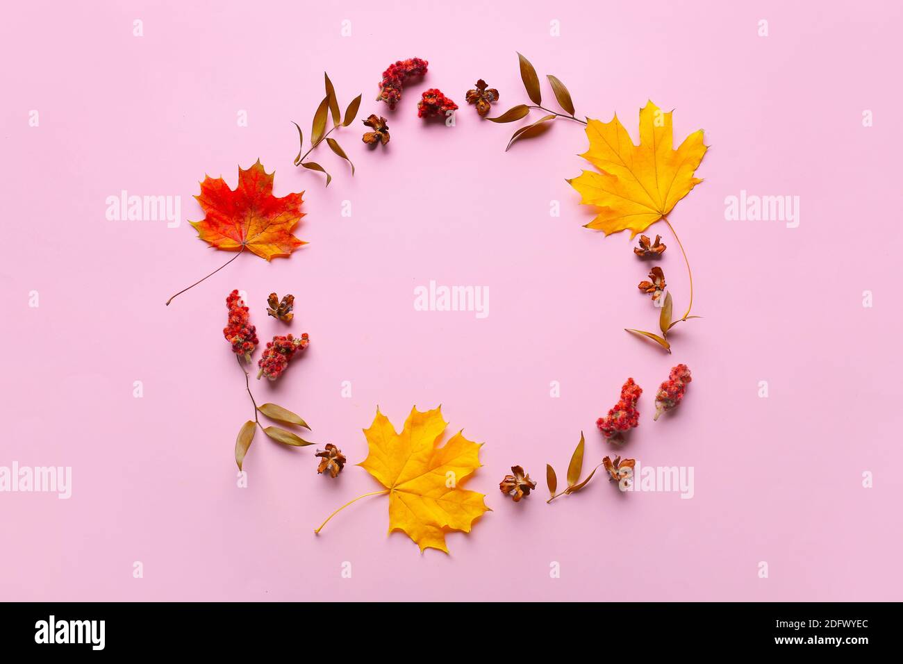 Frame made of autumn leaves on color background Stock Photo - Alamy