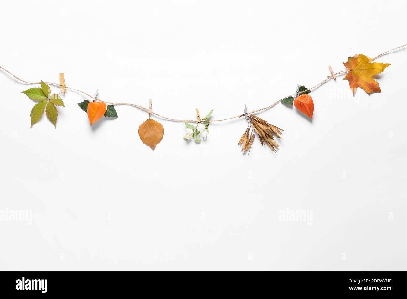 Beautiful autumn garland on white background Stock Photo - Alamy