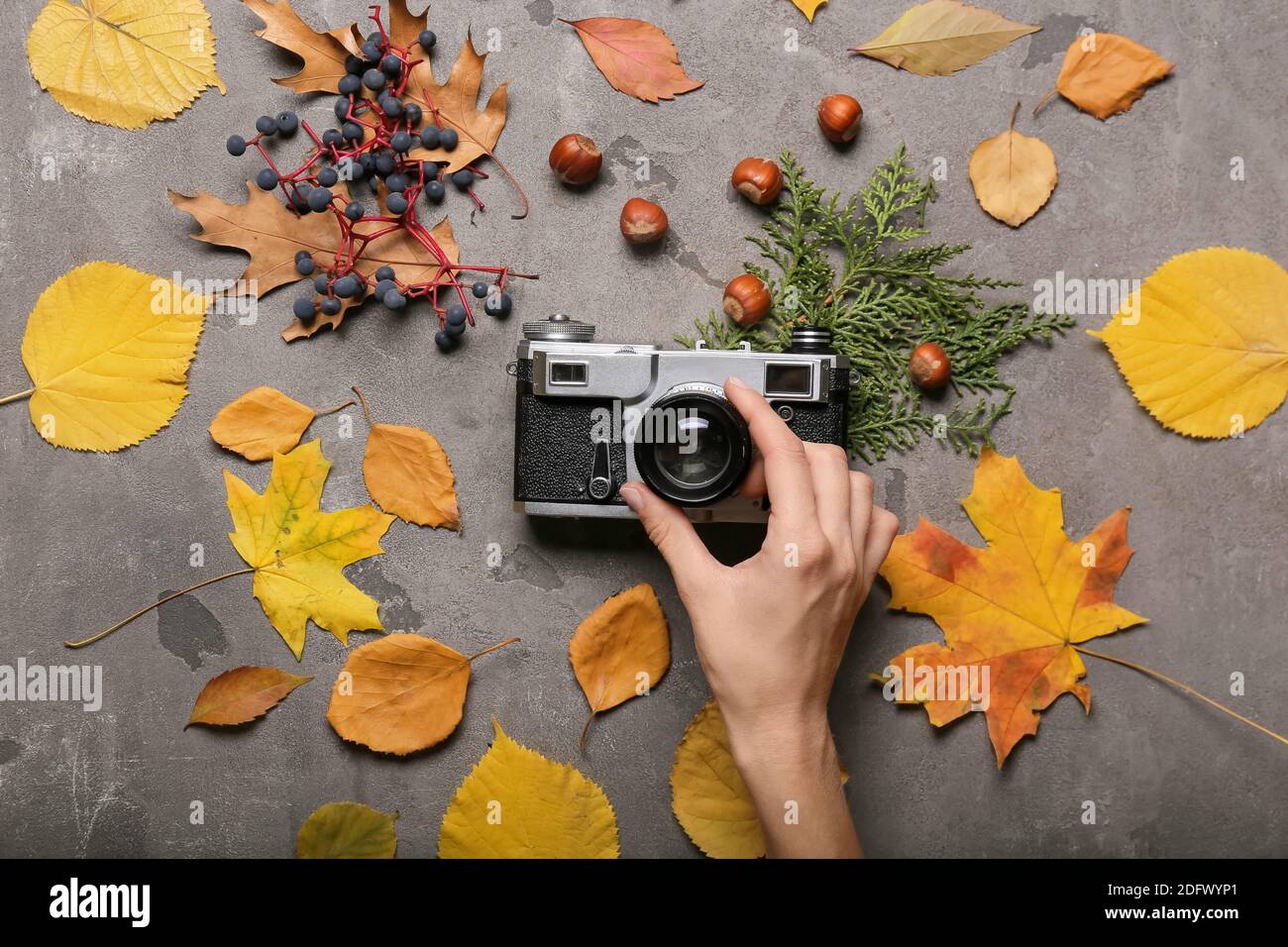 Hand with photo camera and autumn leaves on grey background Stock Photo ...