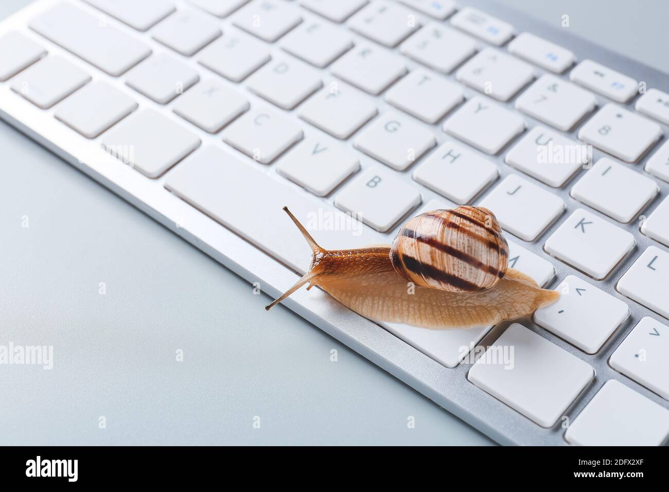 Snail crawling on computer keyboard Stock Photo - Alamy