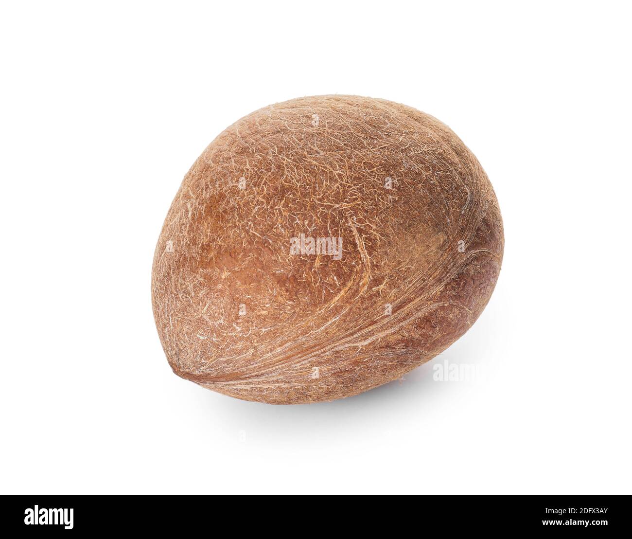 Ripe coconut on white background Stock Photo - Alamy