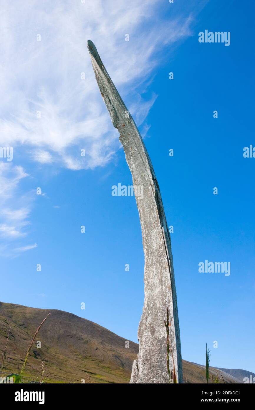 Bowhead Whale ribs in arch formation, Yttygran Island, Bering Sea ...