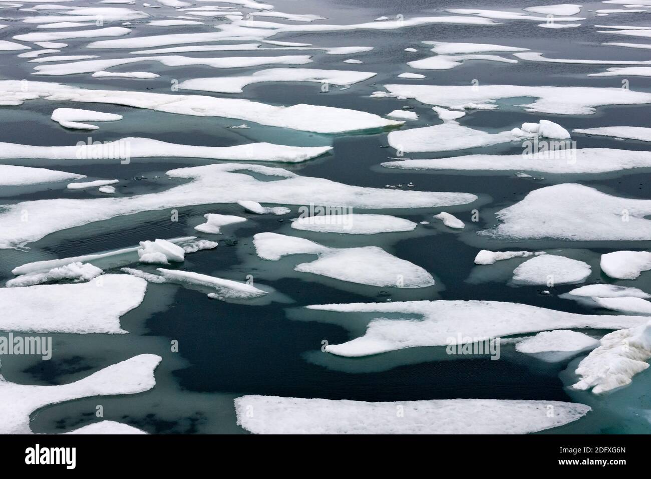 Floating ice in Chukchi Sea, Russian Far East Stock Photo - Alamy