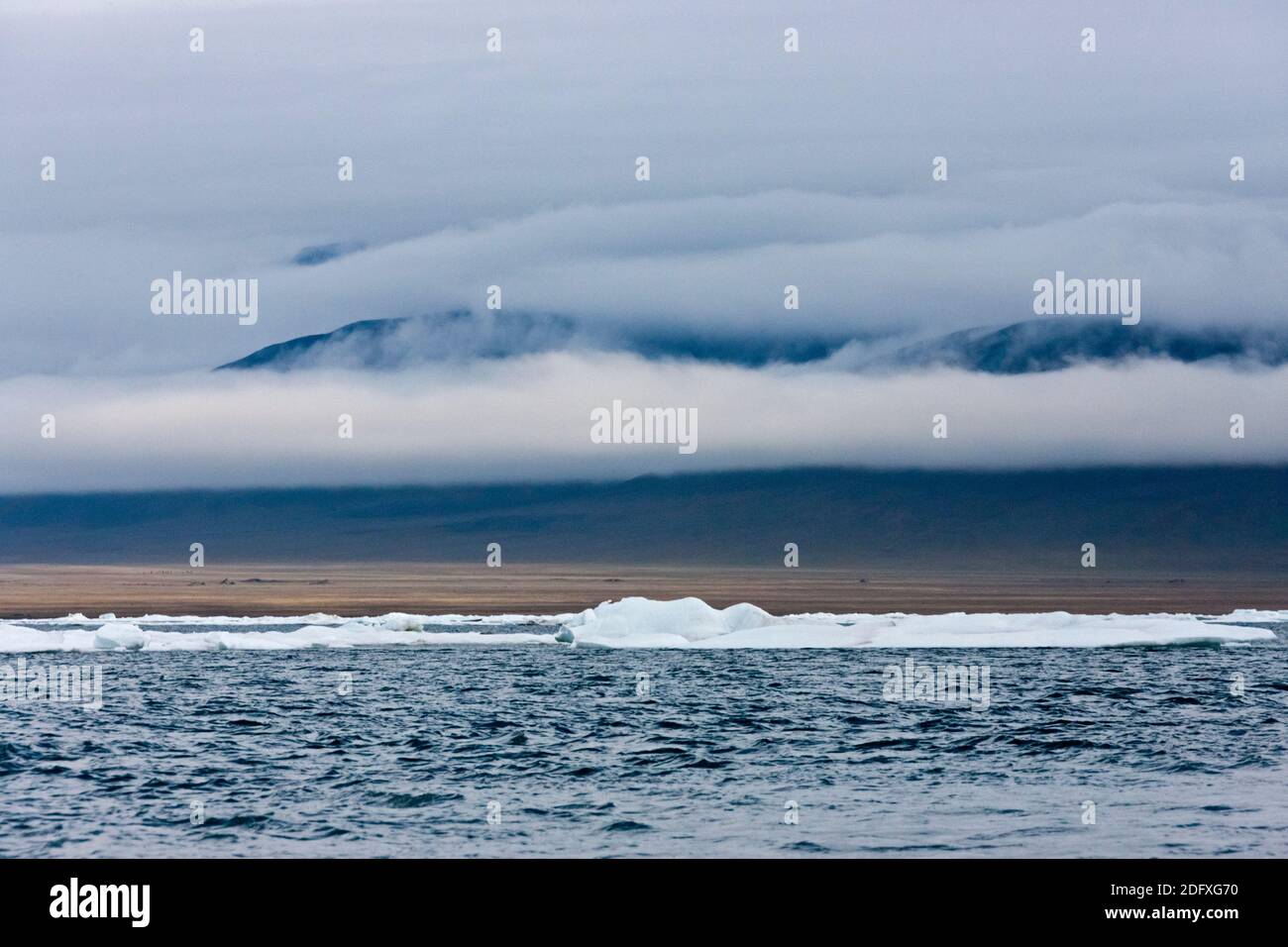 Wrangel Island in Chukchi Sea, Russian Far East Stock Photo - Alamy