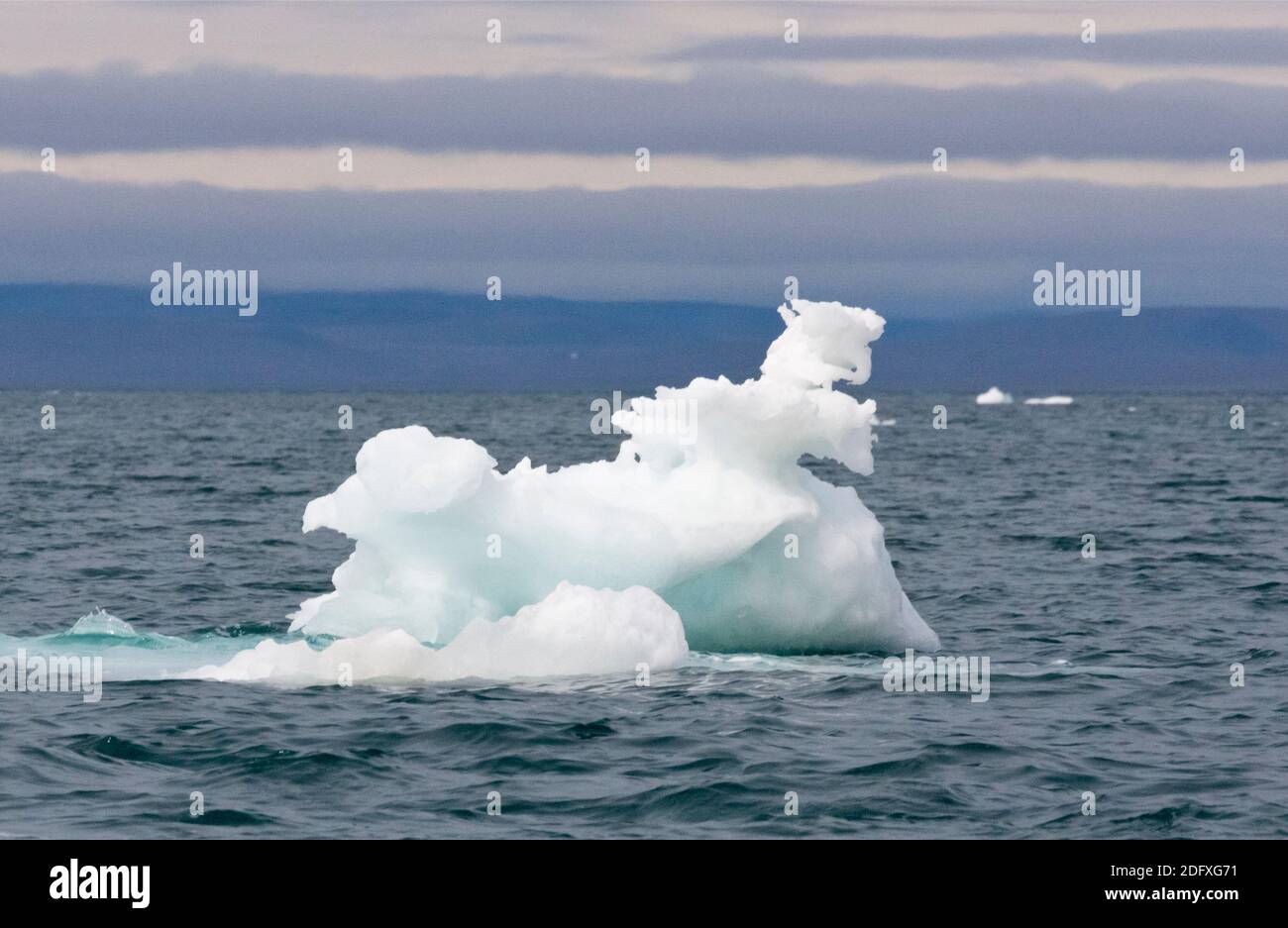 Floating iceberg, Wrangel Island in Chukchi Sea, Russian Far East Stock ...
