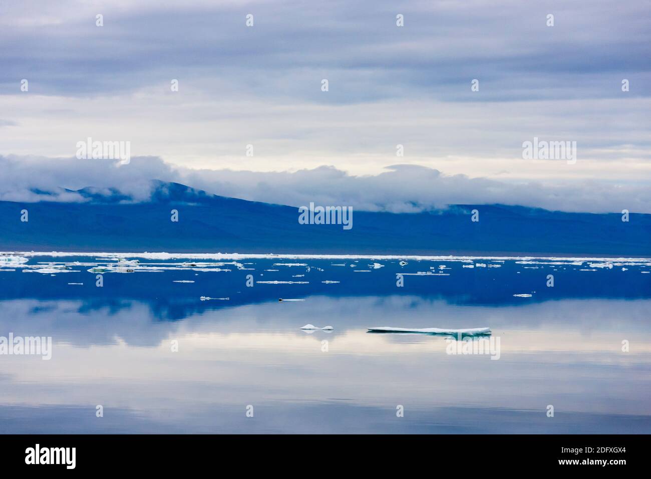 Cape Vankarem, Wrangel Island, Chukchi Sea, Russia Far East Stock Photo ...