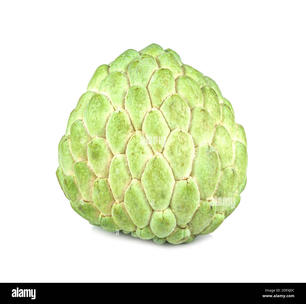 Custard apple pulp hi-res stock photography and images - Alamy