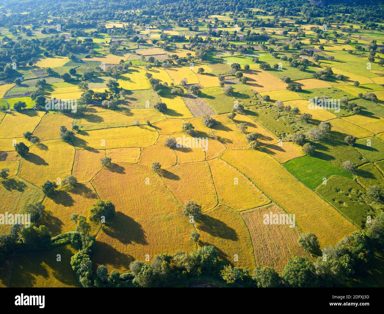 Ta pa rice fields, vietnam hi-res stock photography and images - Alamy