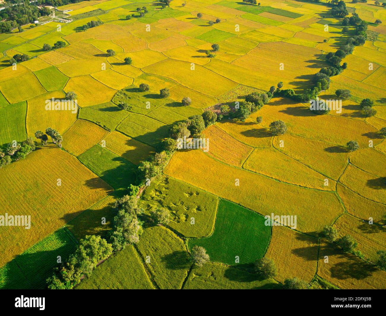 Ta pa rice fields, vietnam hi-res stock photography and images - Alamy