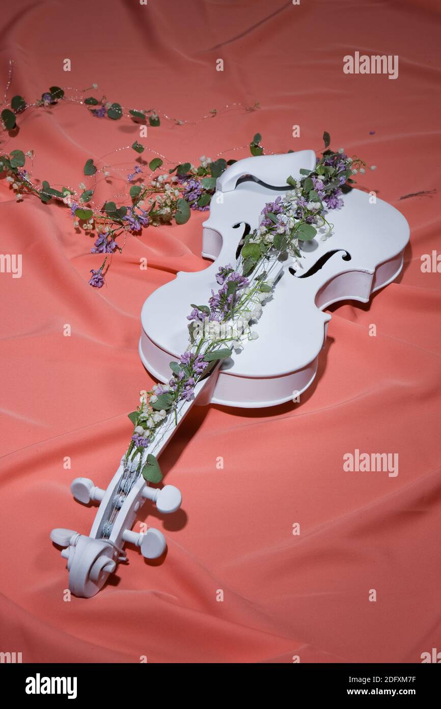 White decorative violin and flower composition Stock Photo - Alamy