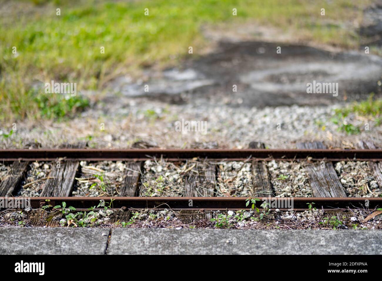Rusted train tracks on an abandoned rail line photo Stock Photo - Alamy