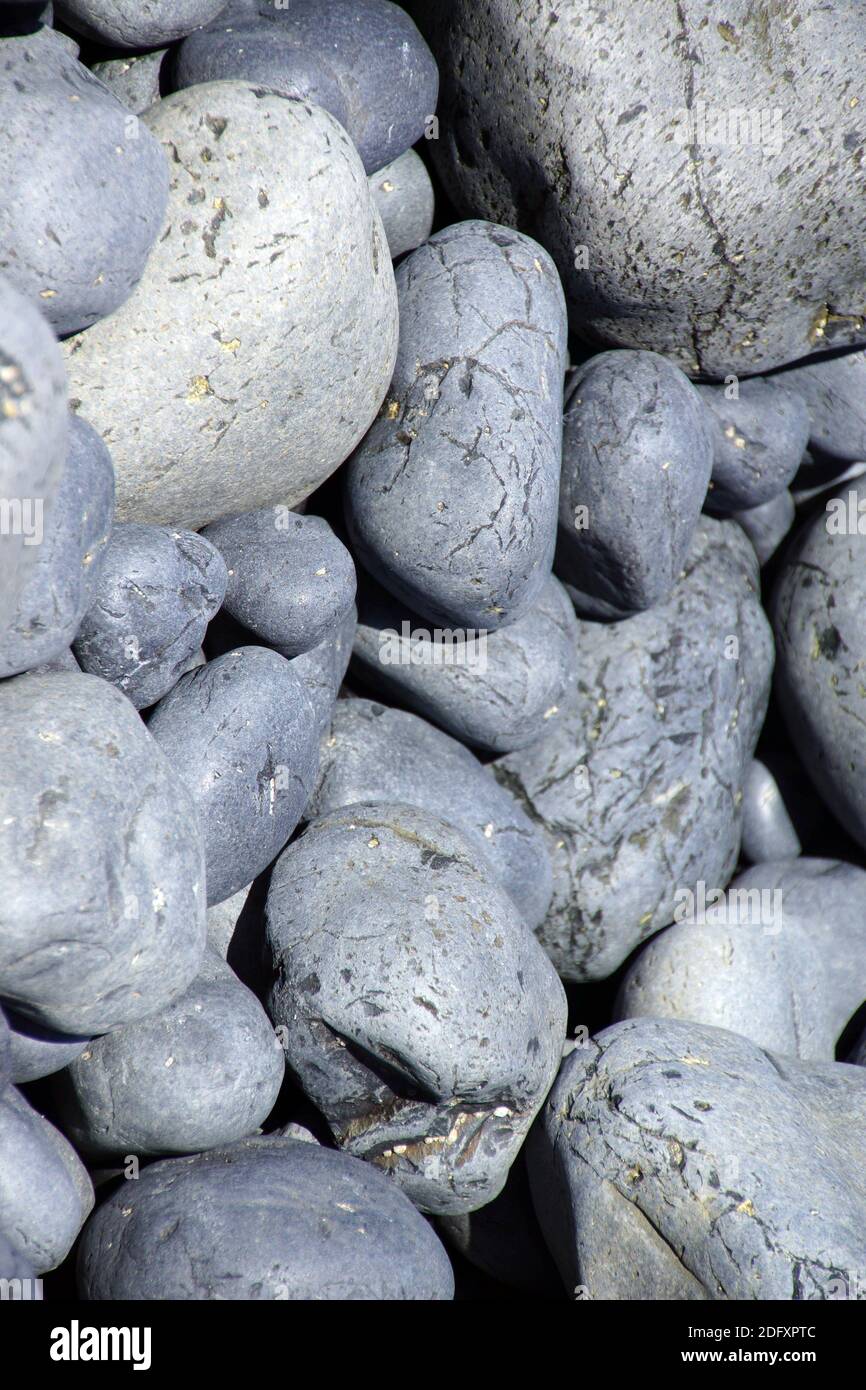 Cobbles, smooth and rounded, form patterns on the beach, Cobble Beach ...